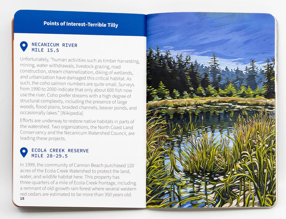 Oregon Coast Gravel Guide – The Oregon Coast Visitors Association